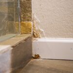 Fuite De Douche : Les Causes Les Plus Fréquentes